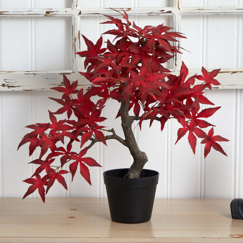 Primrue 20" Artificial Bonsai Tree in Pot | Wayfair