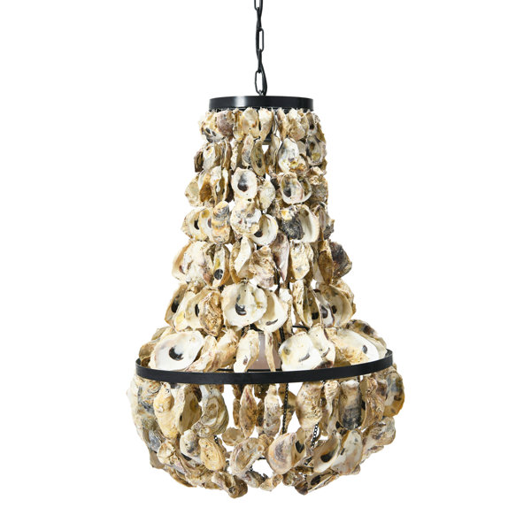 Highland Dunes Paradiso Metal and Draped Oyster Shell Chandelier ...