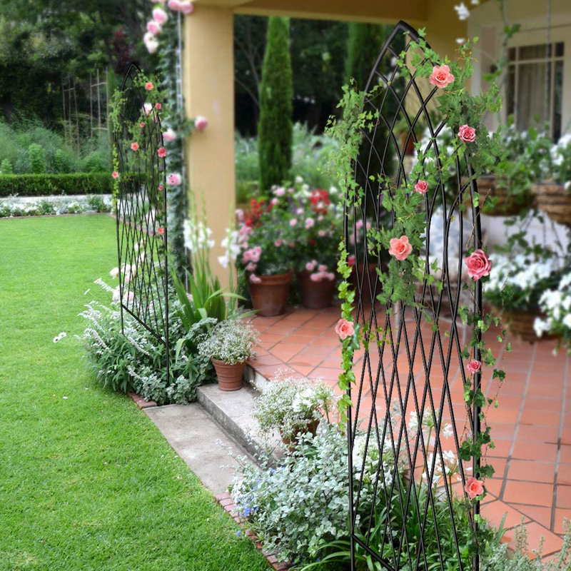 Canora Grey Dulaney 2 Pack Large Garden Trellis for Climbing Plants 75 ...