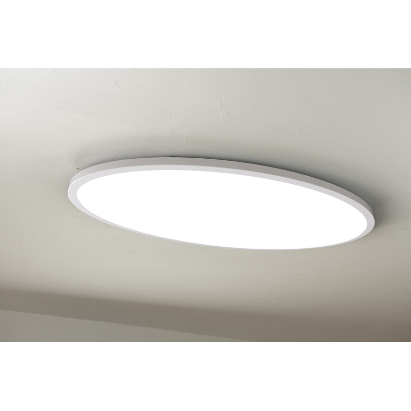KODA 32" Slim Oval LED Ceiling Light with Adjustable White Color | Wayfair