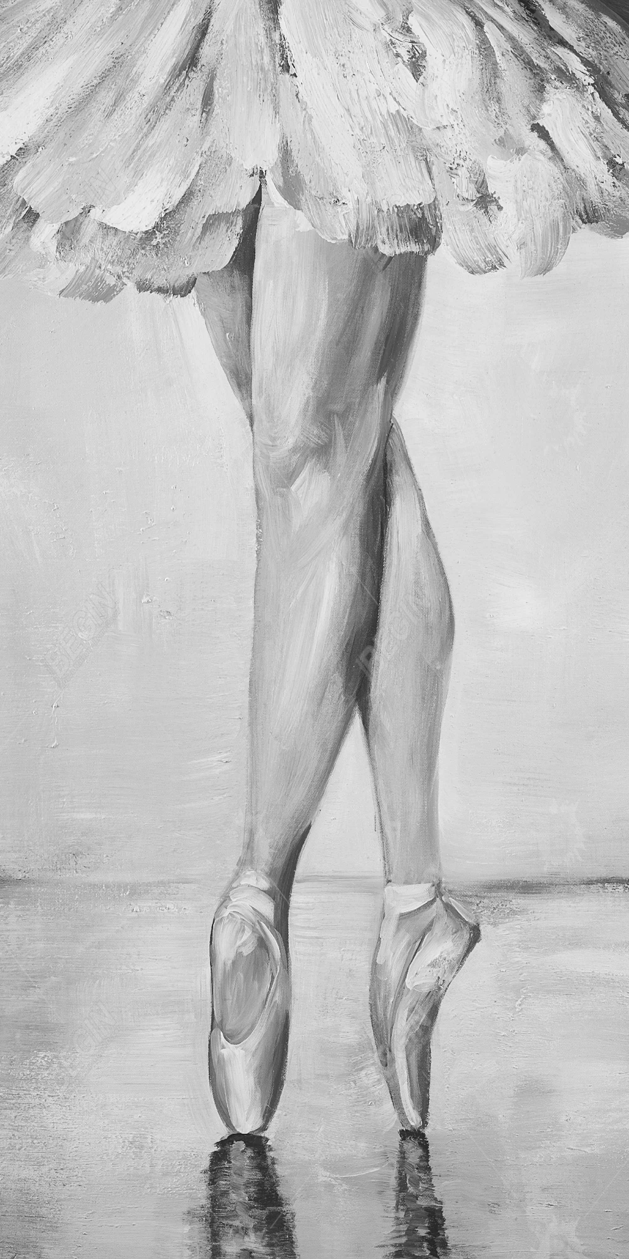 Begin Edition International Inc. Ballet classic steps - 15.75"x31.50 ...