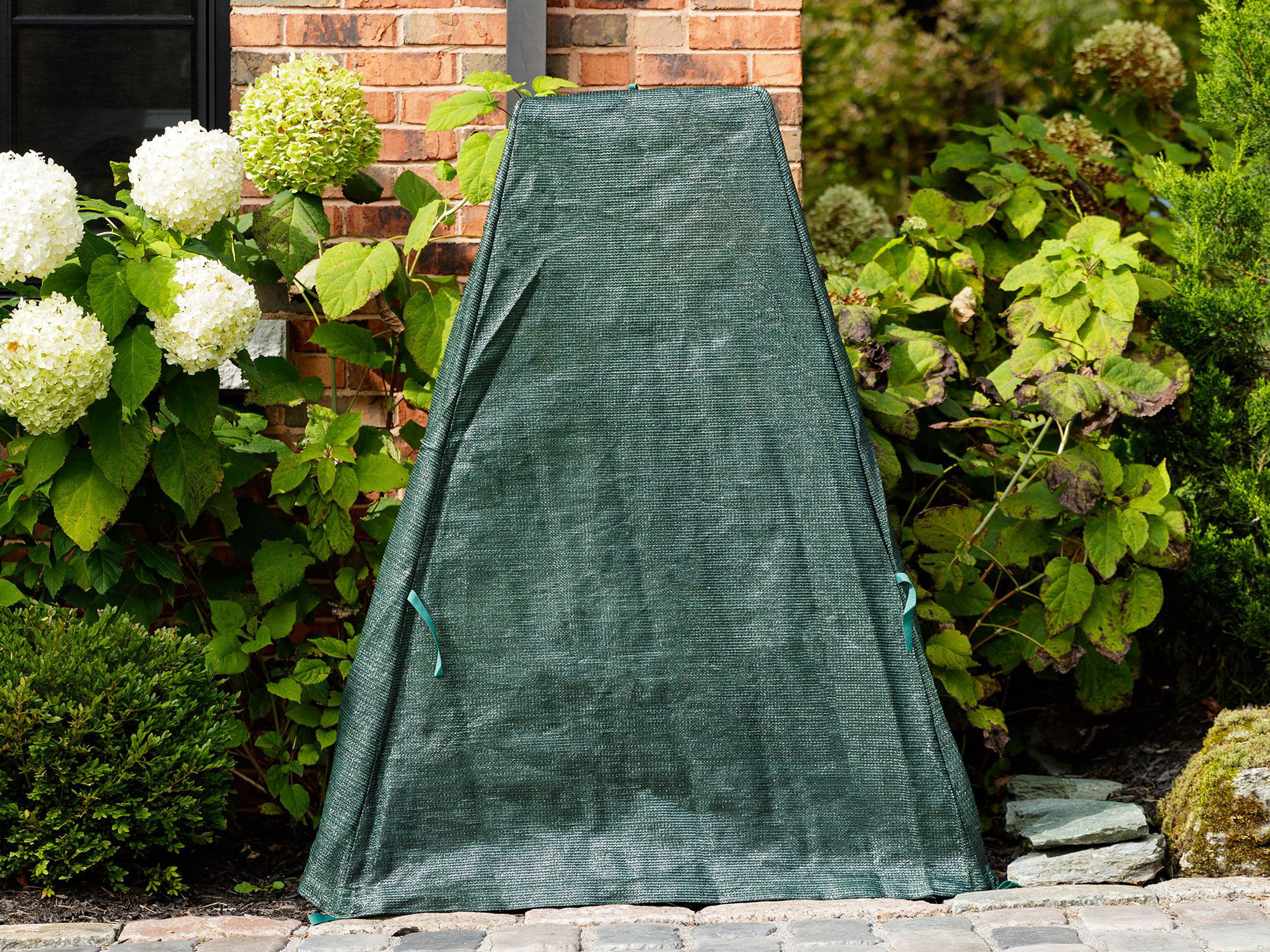 Gazebo Penguin Green Shrub Cover & Reviews | Wayfair