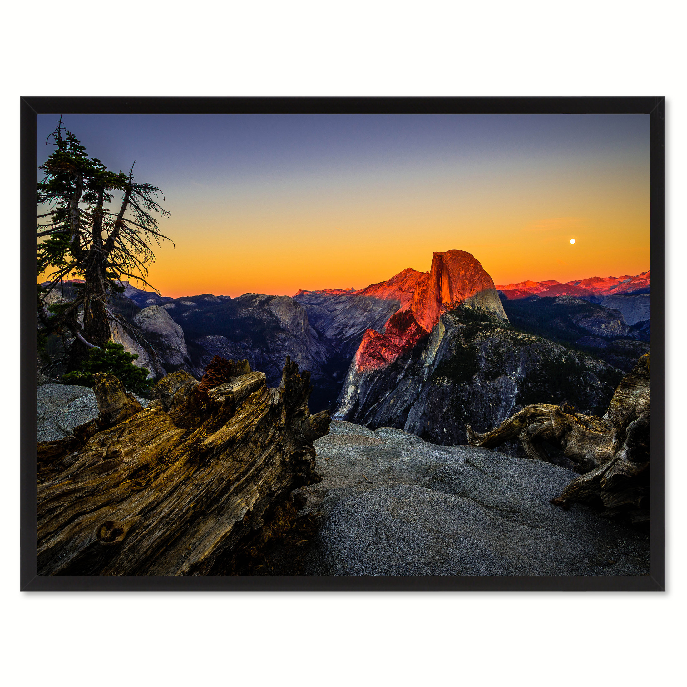 Millwood Pines Half Dome California Landscape Photo Print on Canvas ...