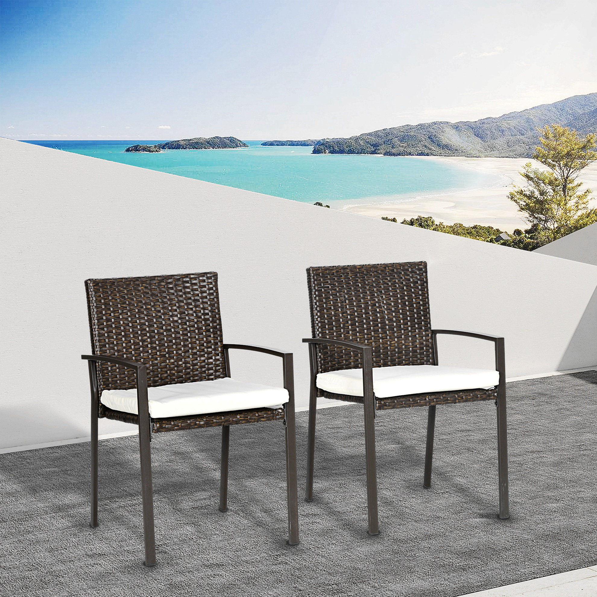 Dakota Fields 2 Piece PE Rattan Outdoor Dining Chairs With Cushion ...