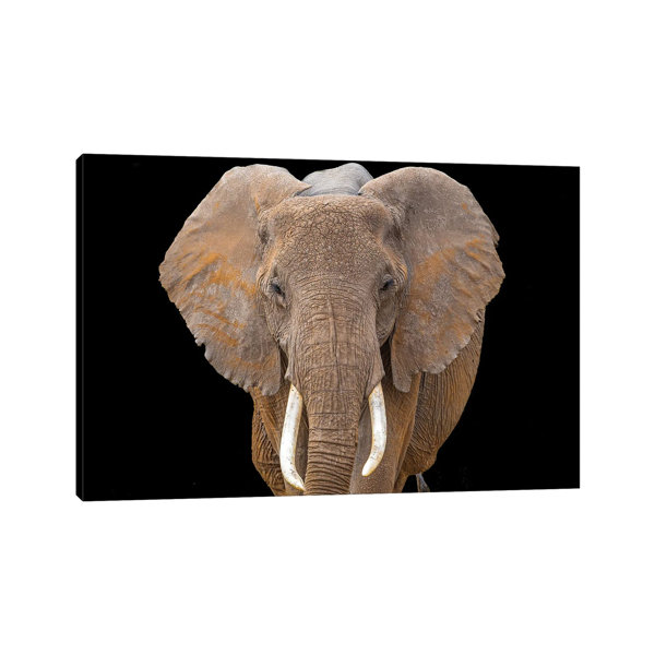 Alpen Home Vanishing Breed? by Jeffrey C. Sink - Wrapped Canvas ...