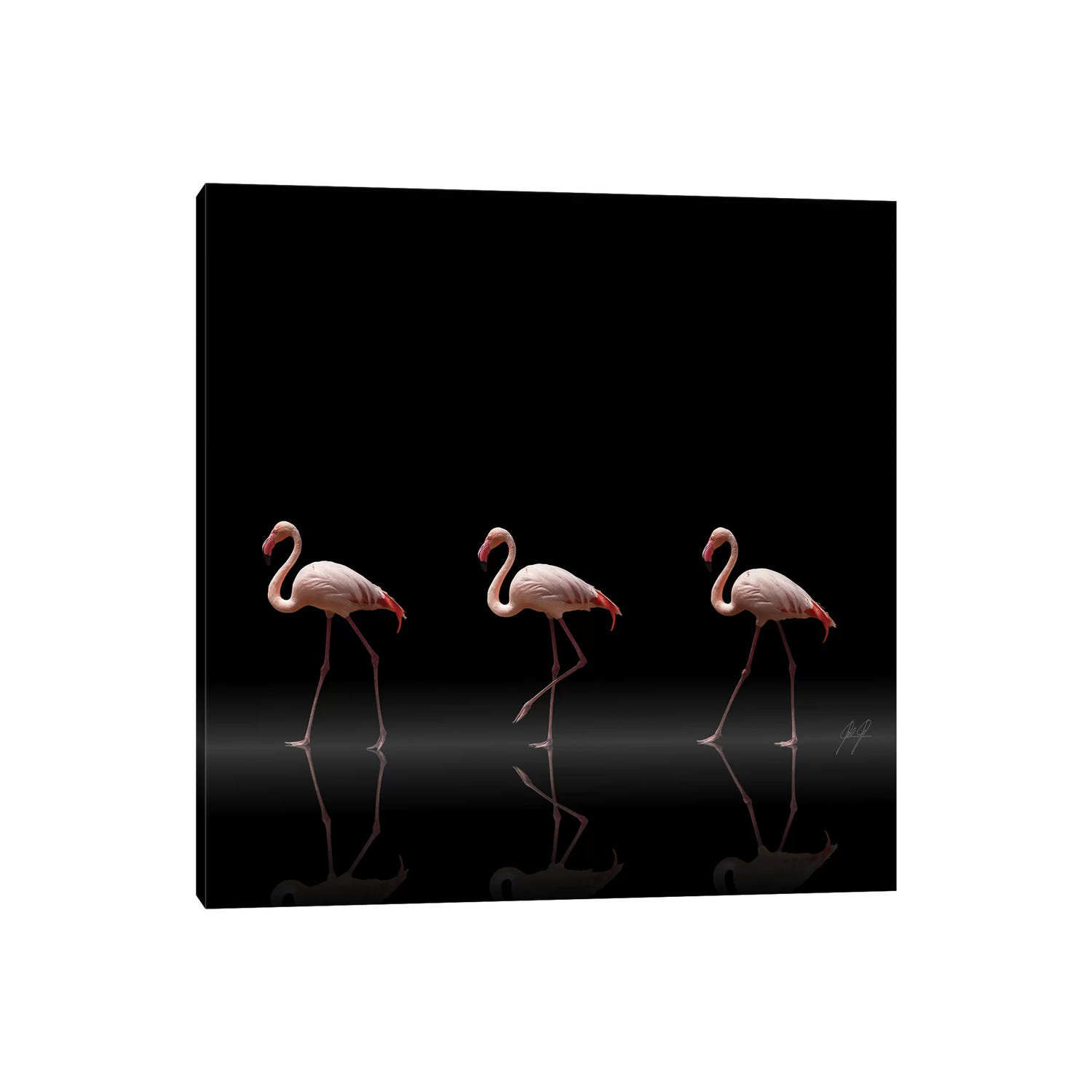 17 Stories Flamingo Parade by Kathrin Federer - Wrapped Canvas ...