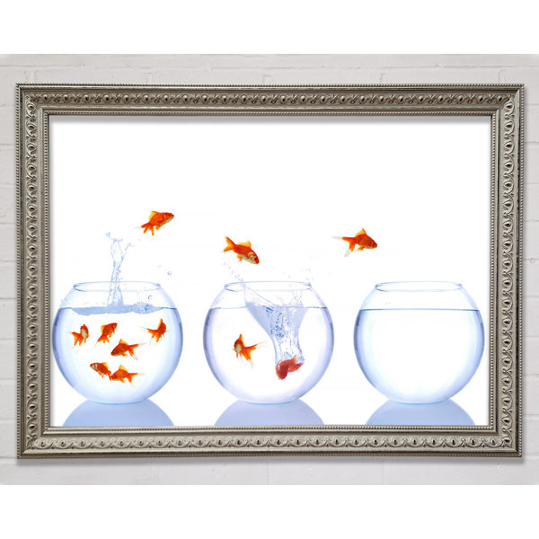 Highland Dunes Jumping Silverfish Trio Framed Print | Wayfair.co.uk