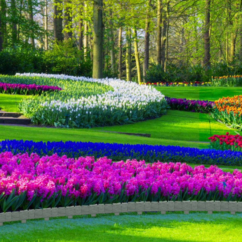 iMounTEK Koryne No Dig Plastic Lawn Edging Kit | Wayfair