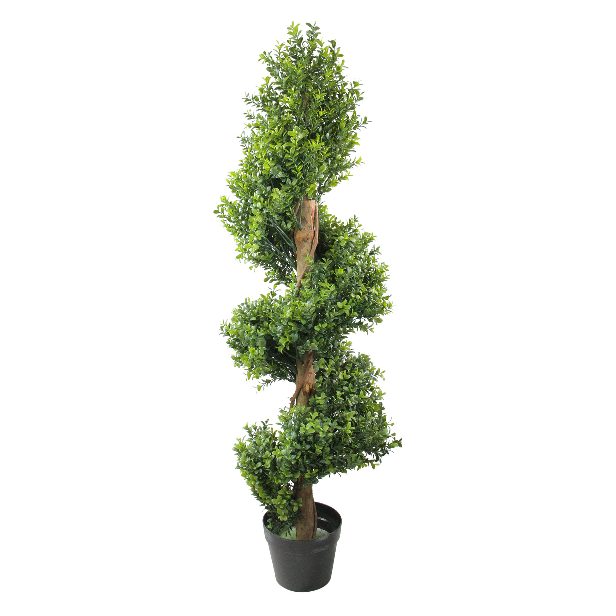 Northlight 24" Potted Two-Tone Artificial Murraya Ball Topiary Tree ...