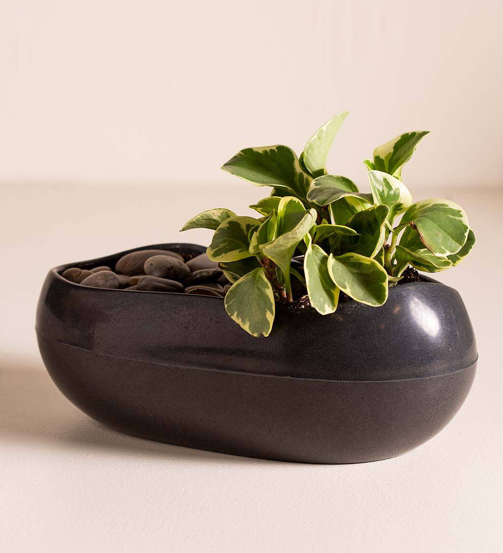 Ebern Designs Burmont Stone Pot Planter | Wayfair