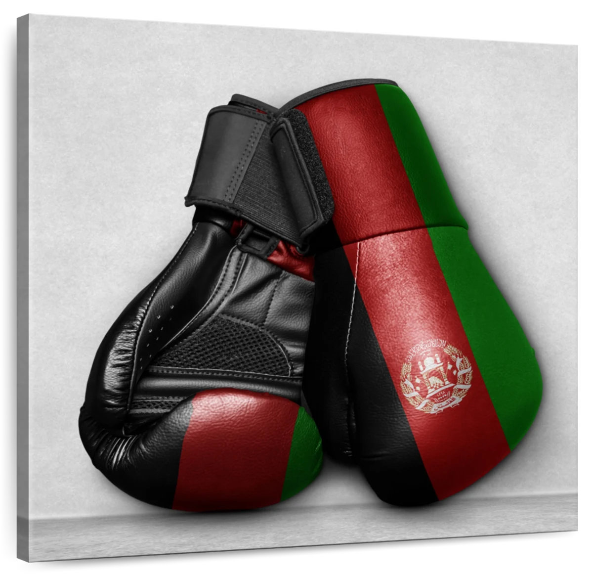 Ebern Designs Sireci Afghan Boxing Gloves | Wayfair