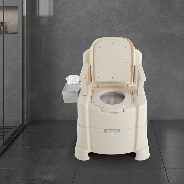 SUNYOU GPF Elongated Chair Height Bidet Toilet (Seat Included) | Wayfair