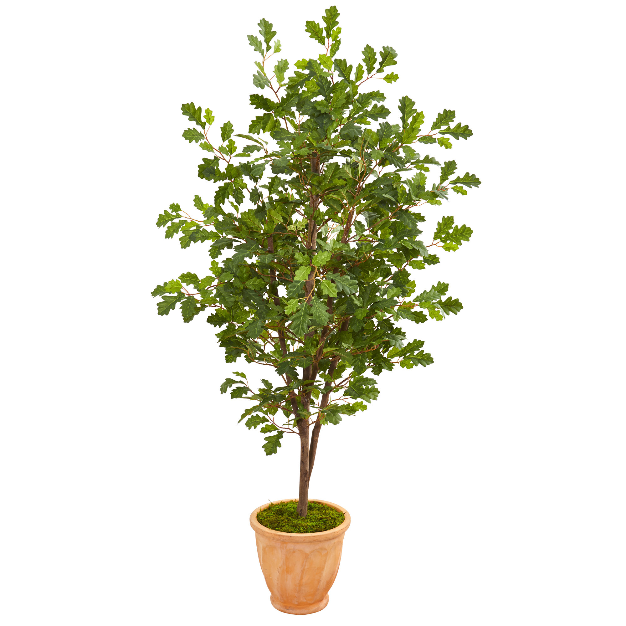 Alcott Hill® 67'' Faux Oak Tree in Terracotta Pot | Wayfair
