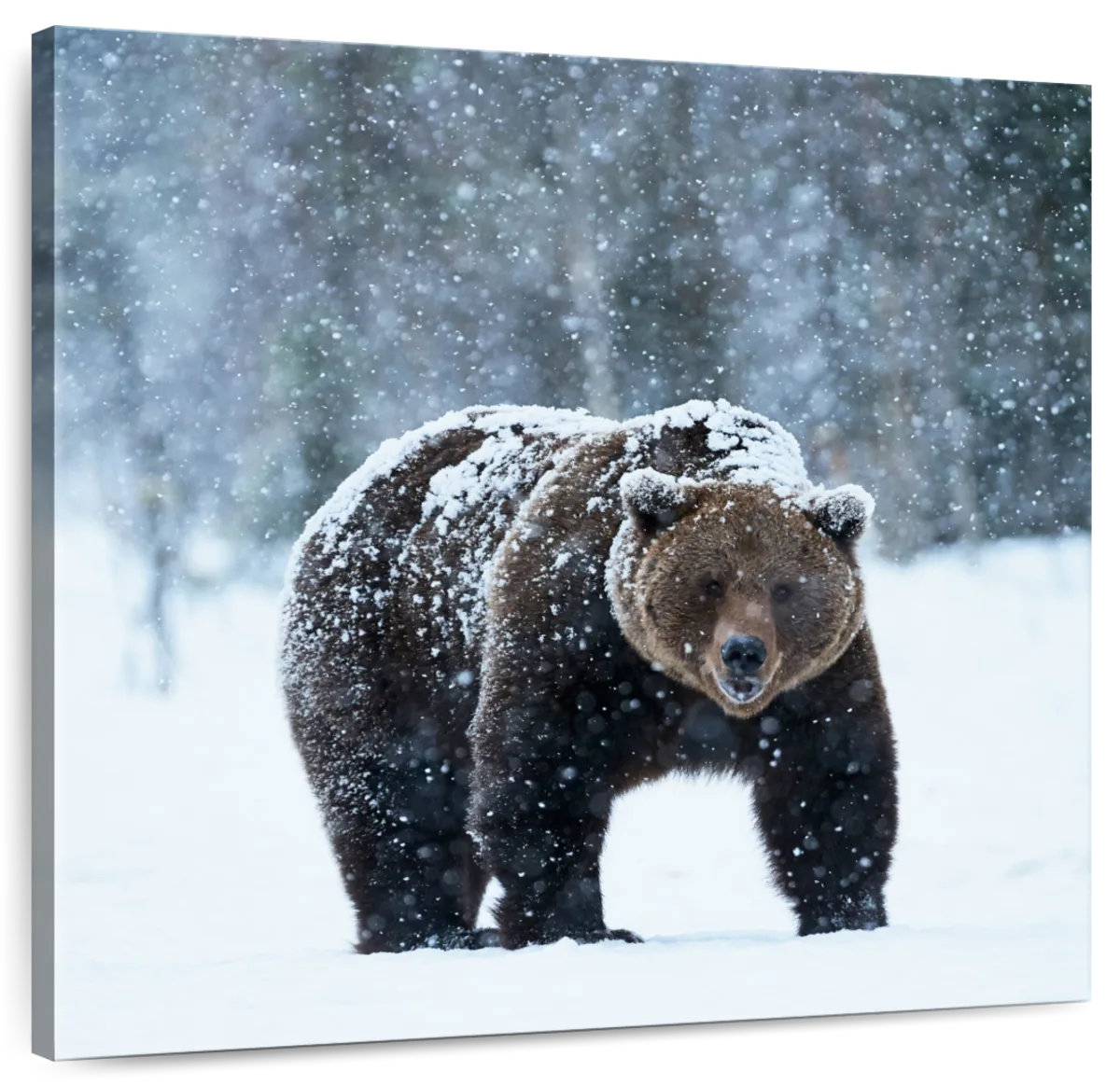 Ebern Designs Brampt Winter Brown Bear | Wayfair
