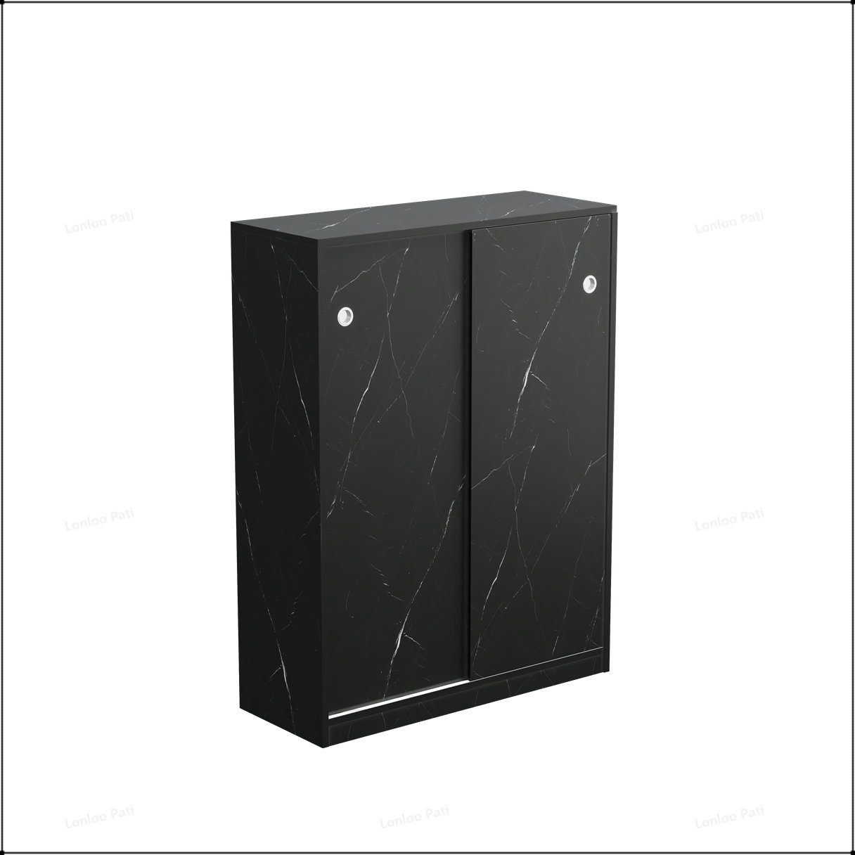 Orren Ellis Versatile Shoe Cabinet with Sliding Door and Ample Storage ...