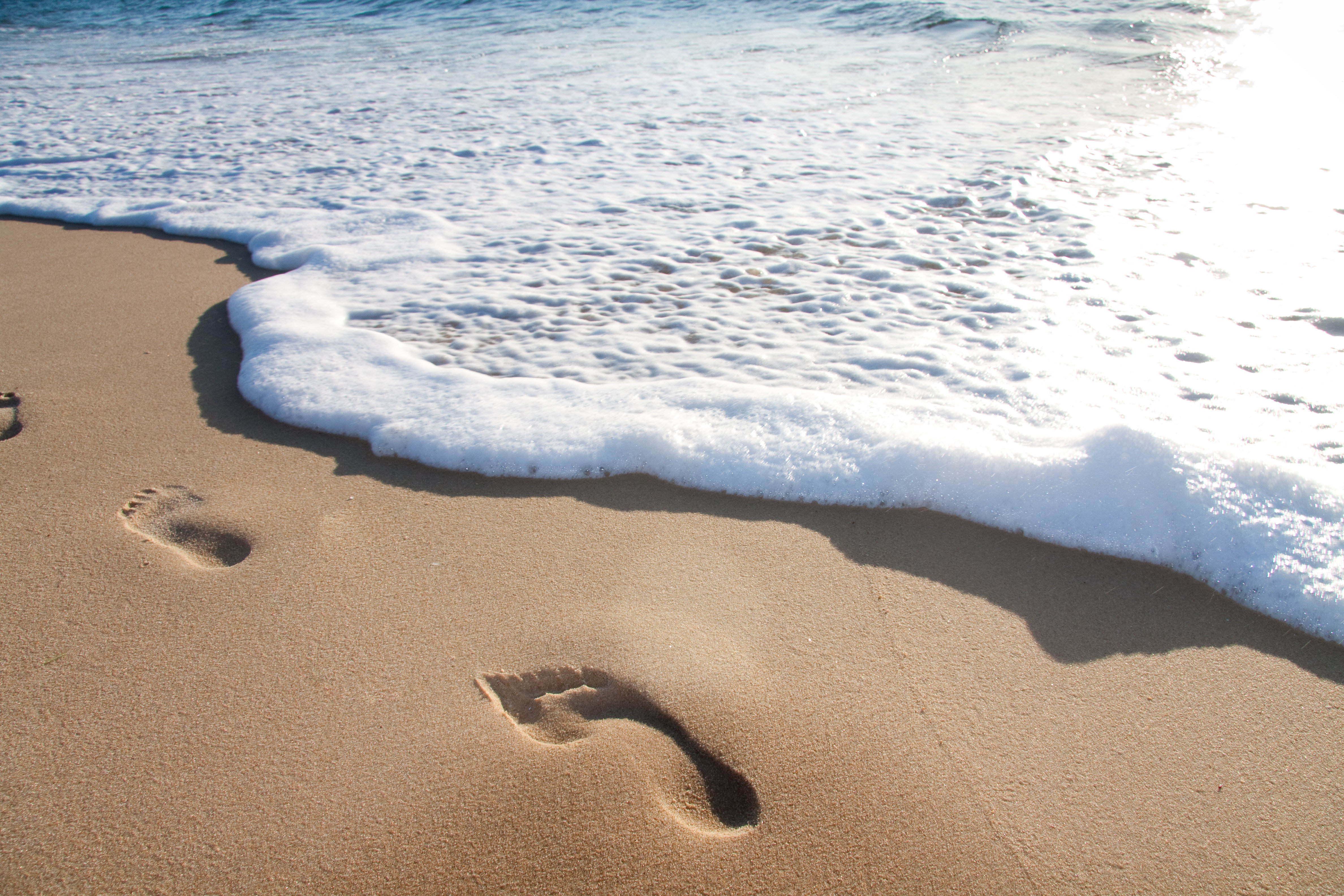 Highland Dunes Footprints by Miunicaneurona - Wrapped Canvas Photograph ...