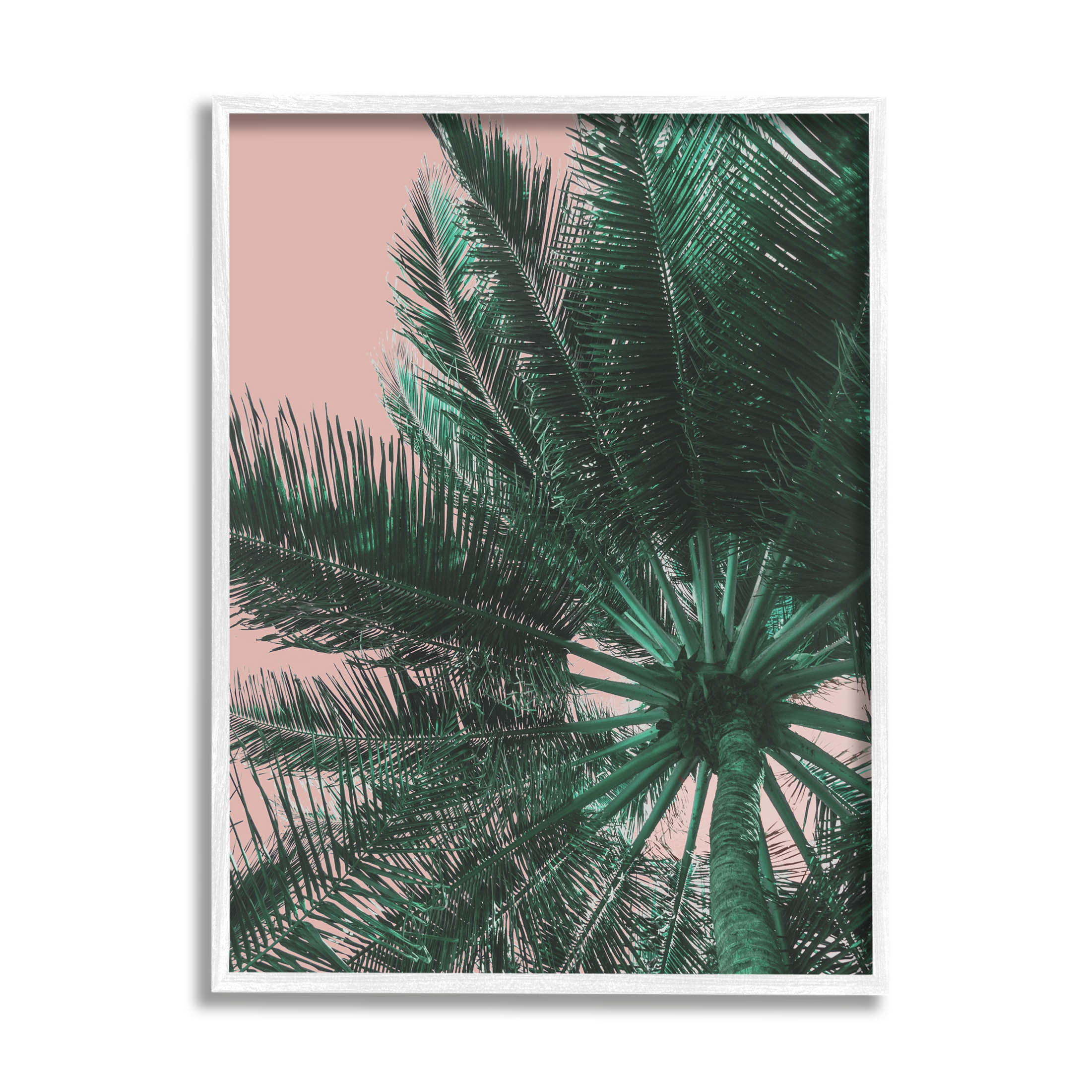 Stupell Industries Summer Overhead Palm Tree Framed Giclee Art By Lil ...