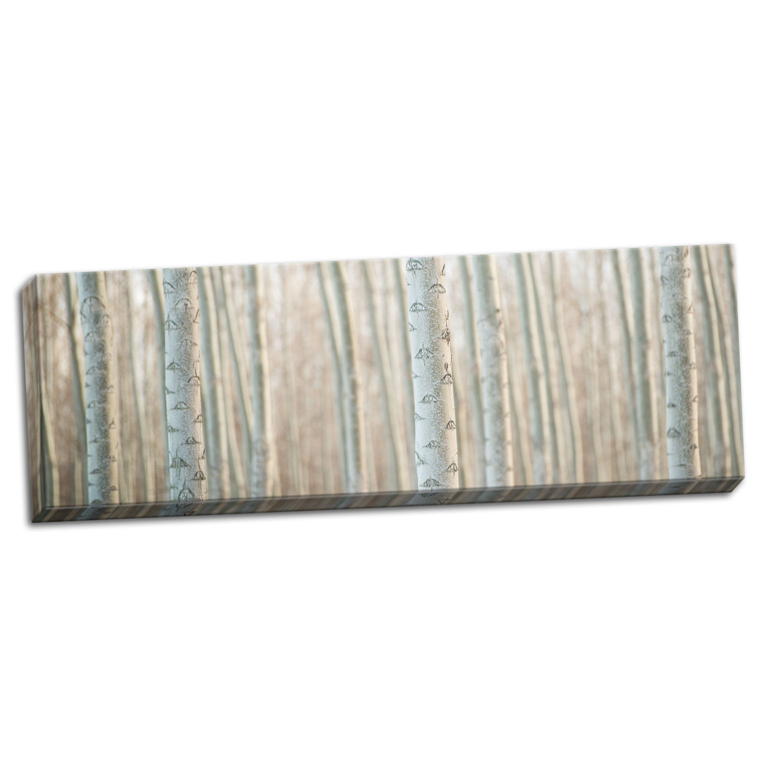 Millwood Pines 'Pacific Albus Pano IV' Photographic Print on Wrapped ...