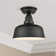 Red Barrel Studio® Aliona Semi Flush Mount | Wayfair