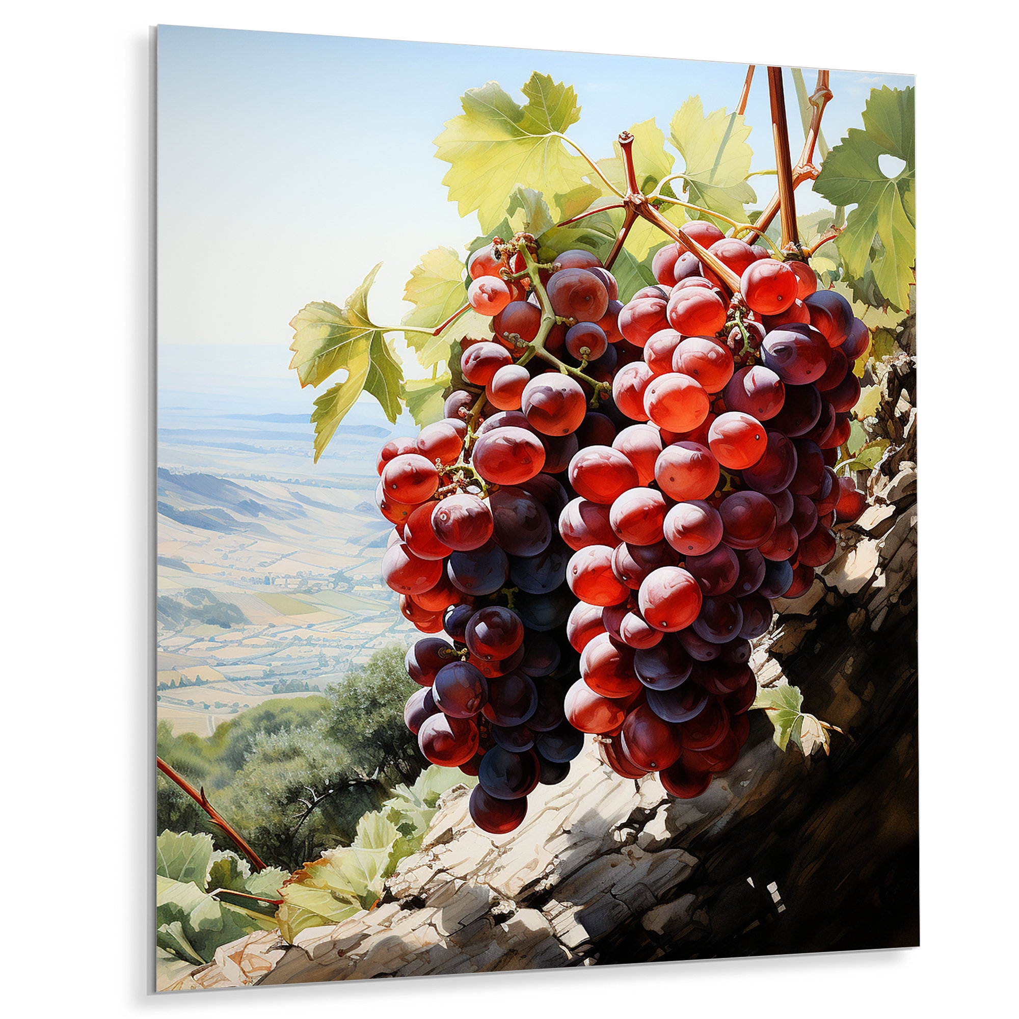 Bungalow Rose Vineyard Rendezvous In Rioja III - Farmhouse Metal Wall ...