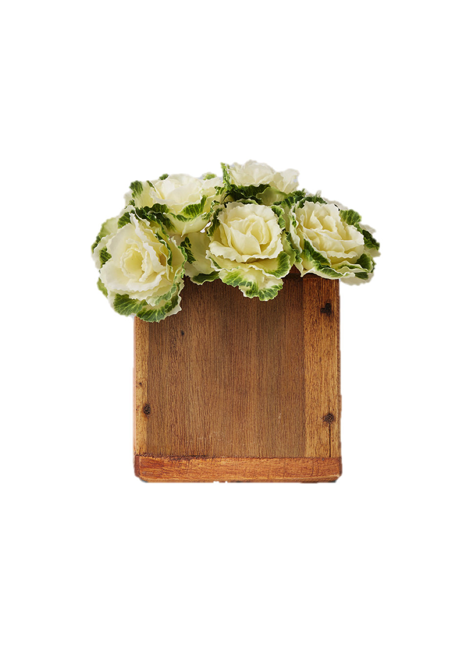 Union Rustic Square Solid Wood Box & Reviews | Wayfair