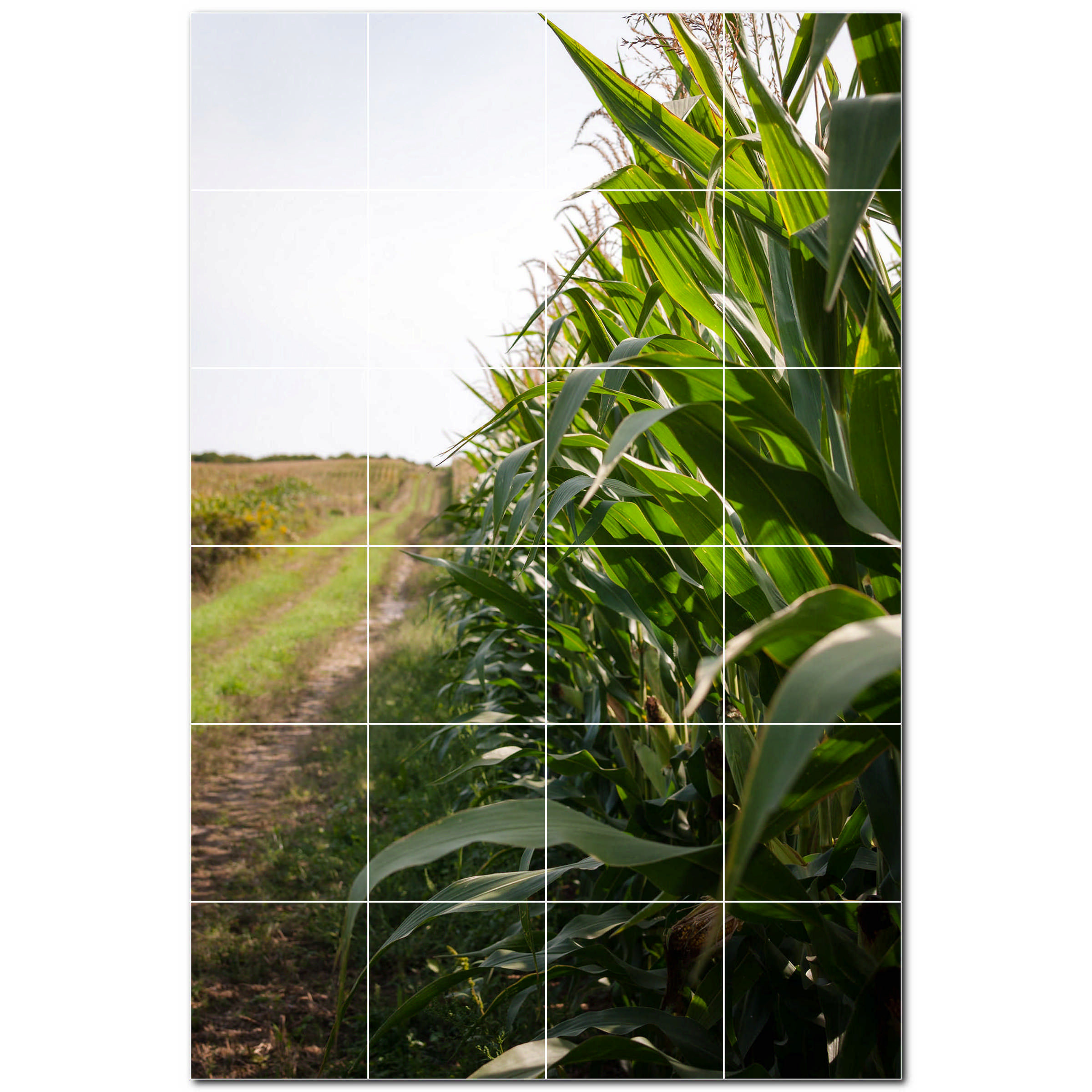 Picture-Tiles.com Farm Photo 6'' x 6'' Satin Ceramic Decorative Mural ...