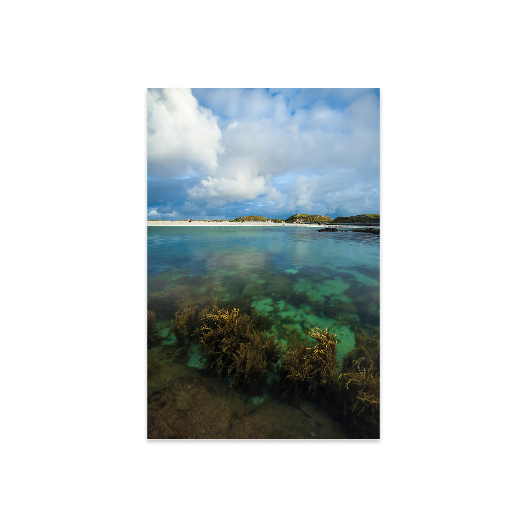 iCanvas Underwater Garden II, Dog's Bay,Connemara, County Galway ...
