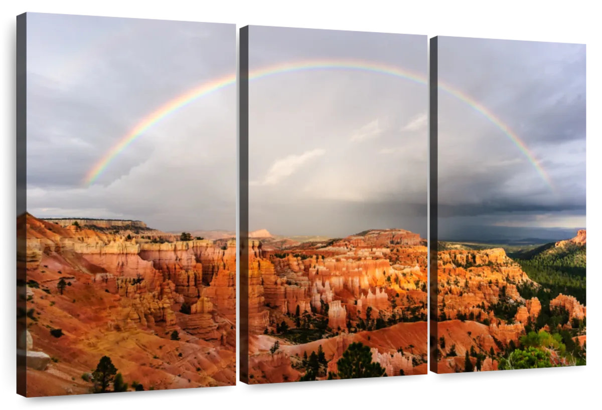 Millwood Pines Alvord Rainbow Over Bryce Canyon | Wayfair