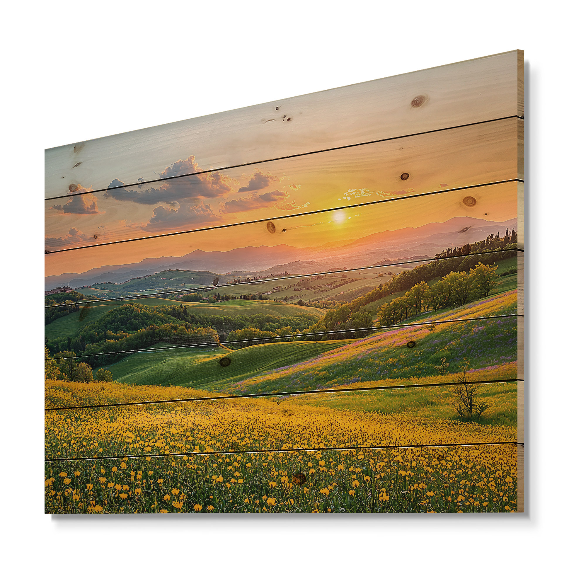 Ophelia & Co. Countryside Rolling Hills At Golden Hour I - Countryside ...