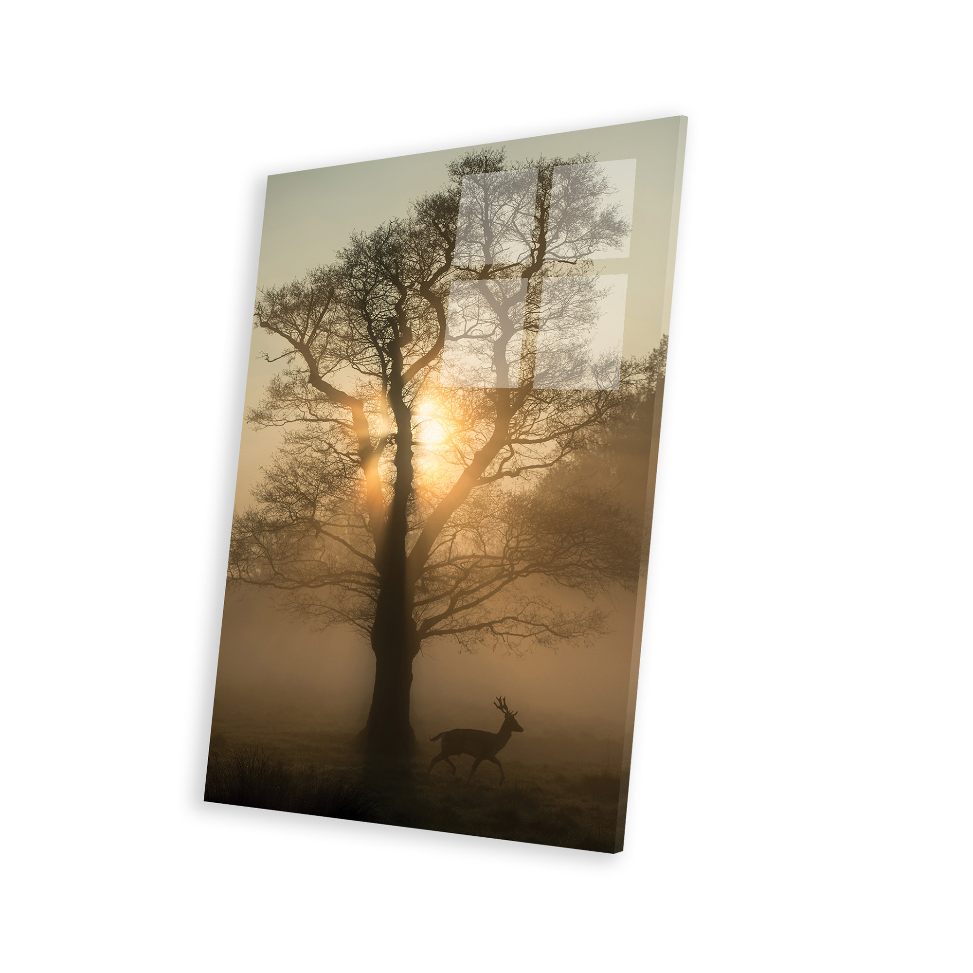 Ebern Designs Dawn Tree Print On Acrylic Glass | Wayfair