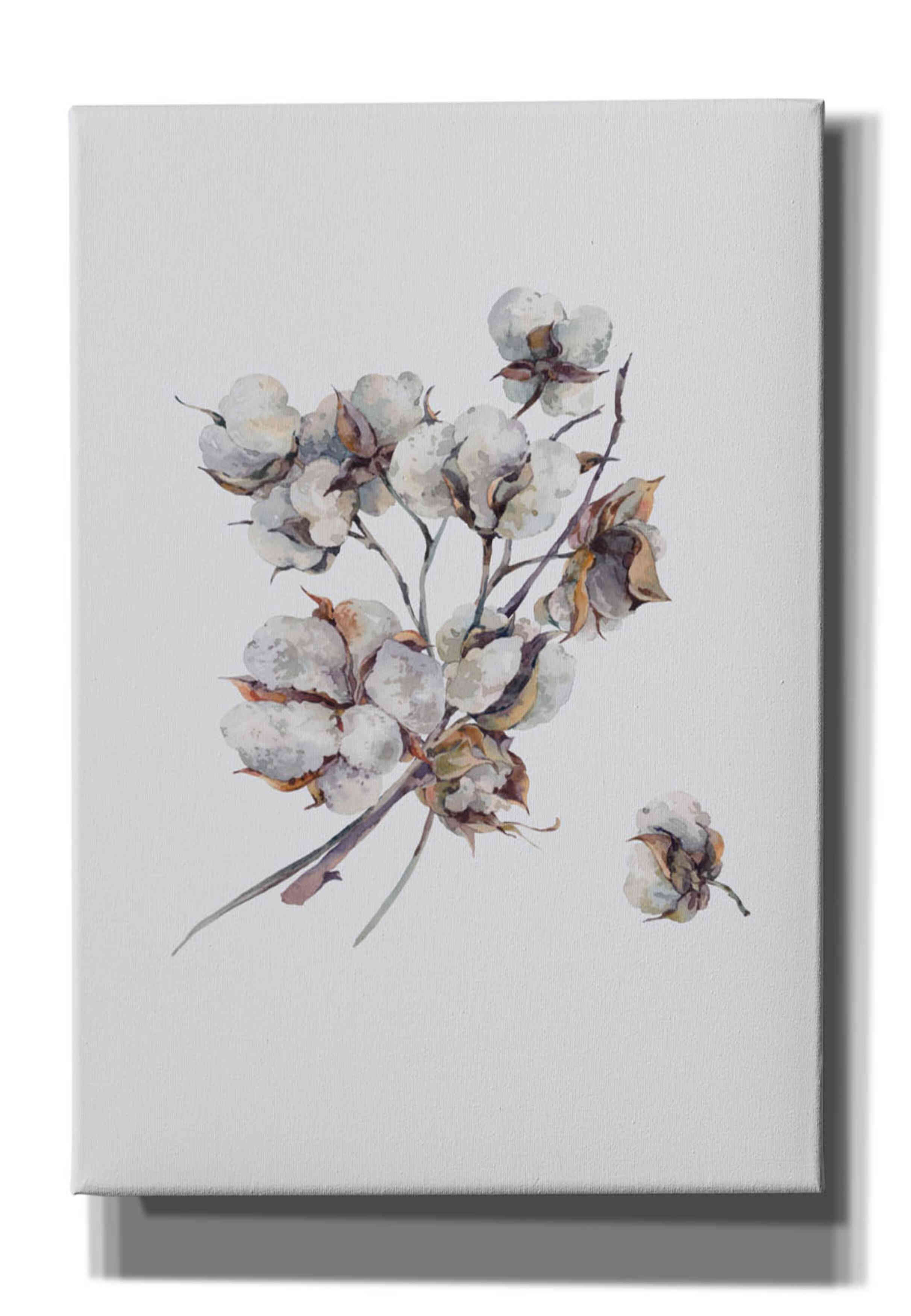 Red Barrel Studio® Cotton III by Incado - Wrapped Canvas Painting | Wayfair