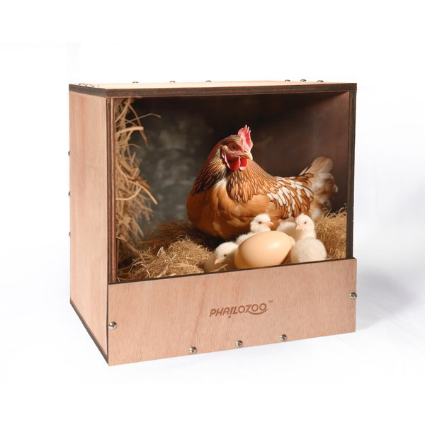 Phailozoo Chicken Single Nesting Box, Single Compartment Wood Nesting ...
