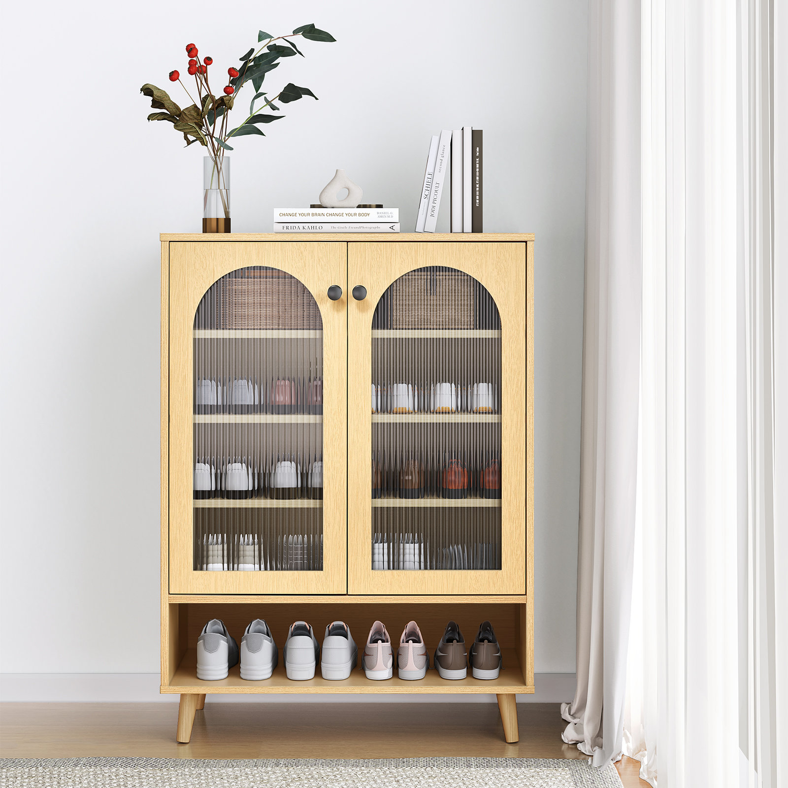 Corrigan Studio Adjustable Glass Door Shoe Storage Cabinet: Stylish and ...