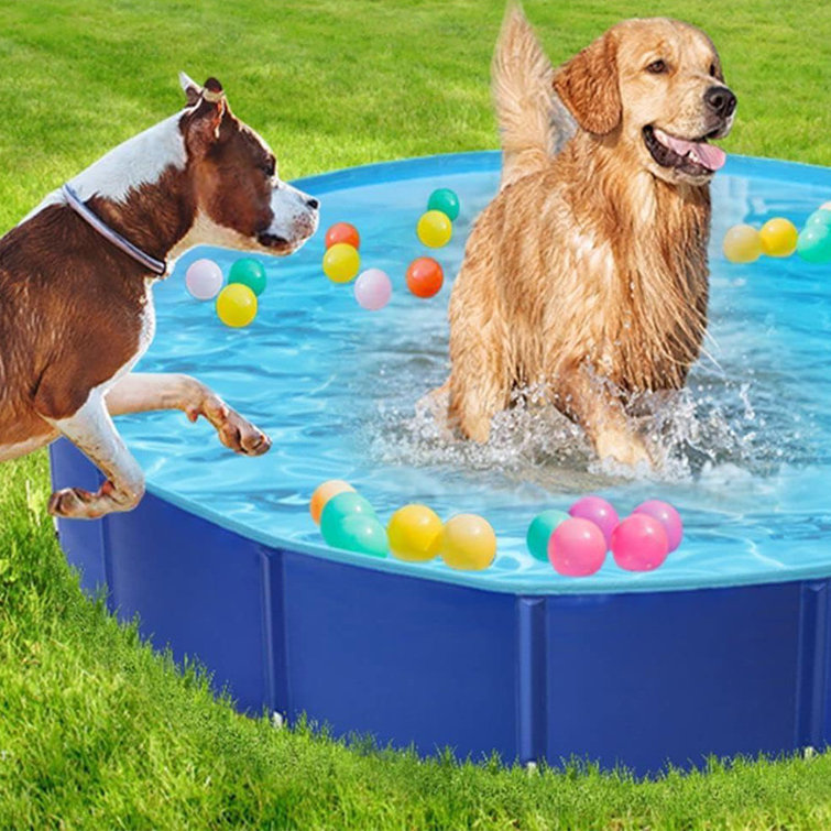 ASTER-FORM CORP Pools for Large Dogs Heavy Duty,Durable Puncture ...