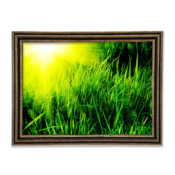 Ebern Designs Sunset Reeds - Single Picture Frame Print | Wayfair.co.uk