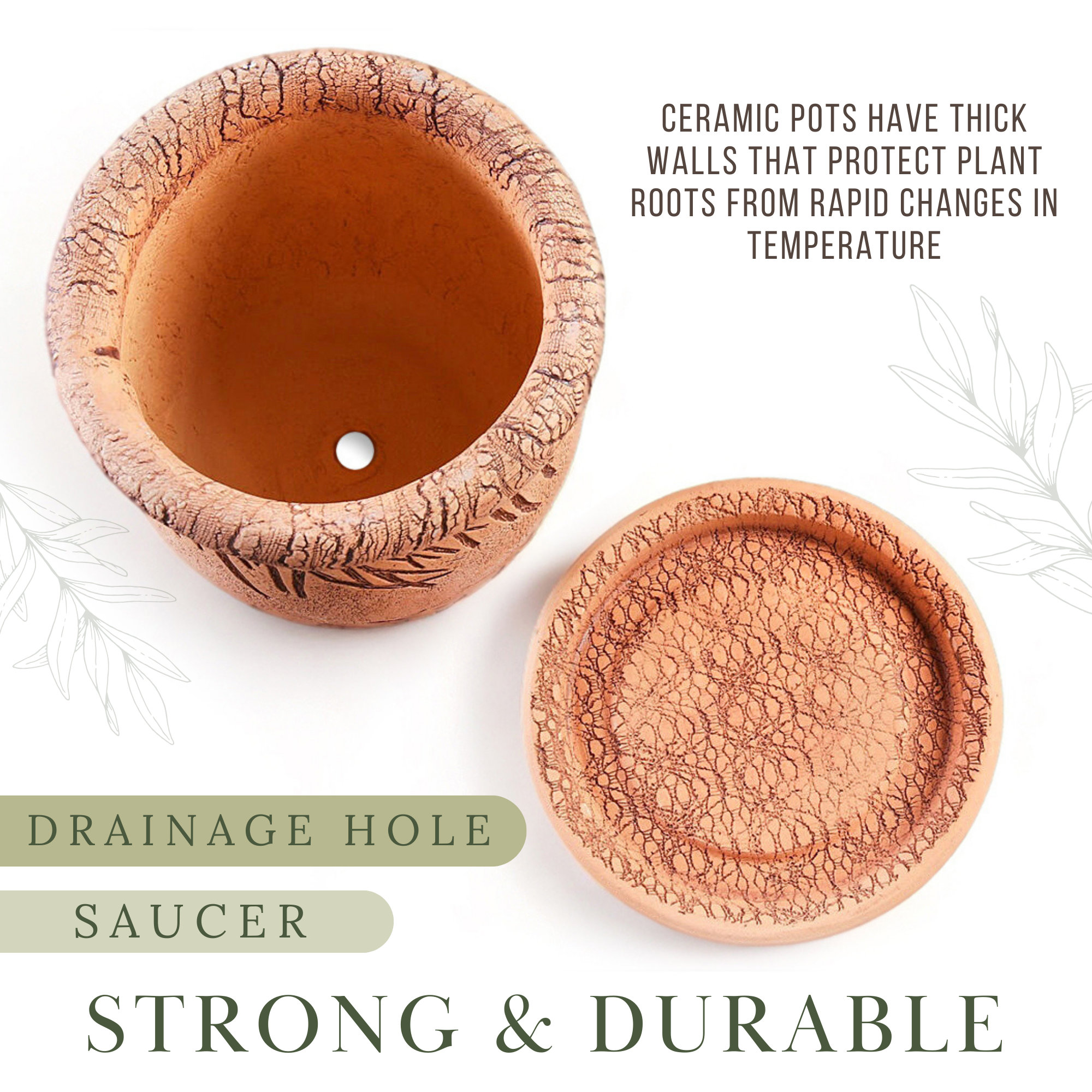 August Grove® Adwaith Indoor/ Outdoor Clay Pot Planter & Reviews | Wayfair