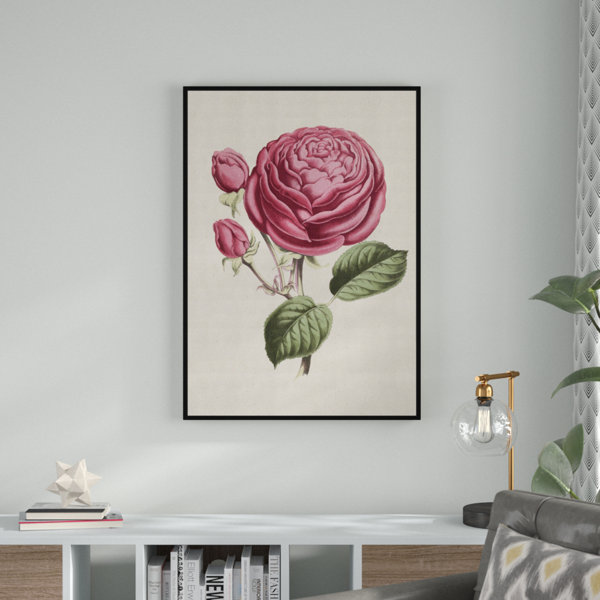Wrought Studio 'Vintage Rose' Framed Print on Canvas | Wayfair