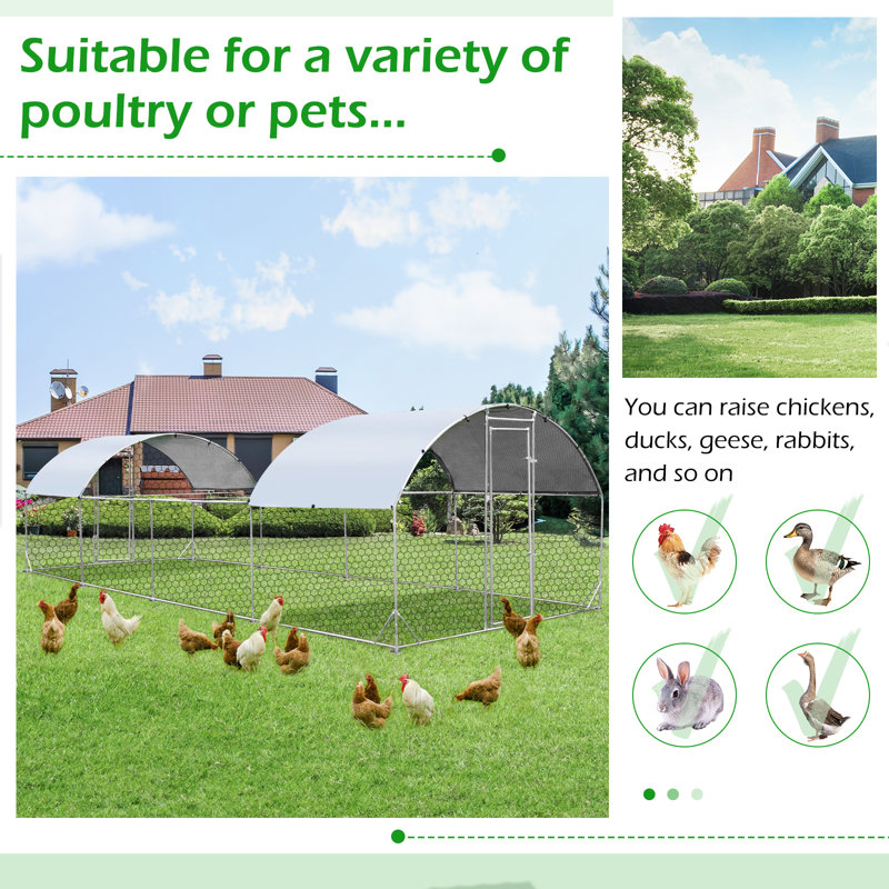 Tucker Murphy Pet™ Deryan 196 Square Feet Walk In Chicken Run For Up To ...