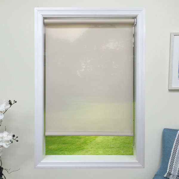 Harbor Shades Sheer Beige Roller Shade & Reviews | Wayfair
