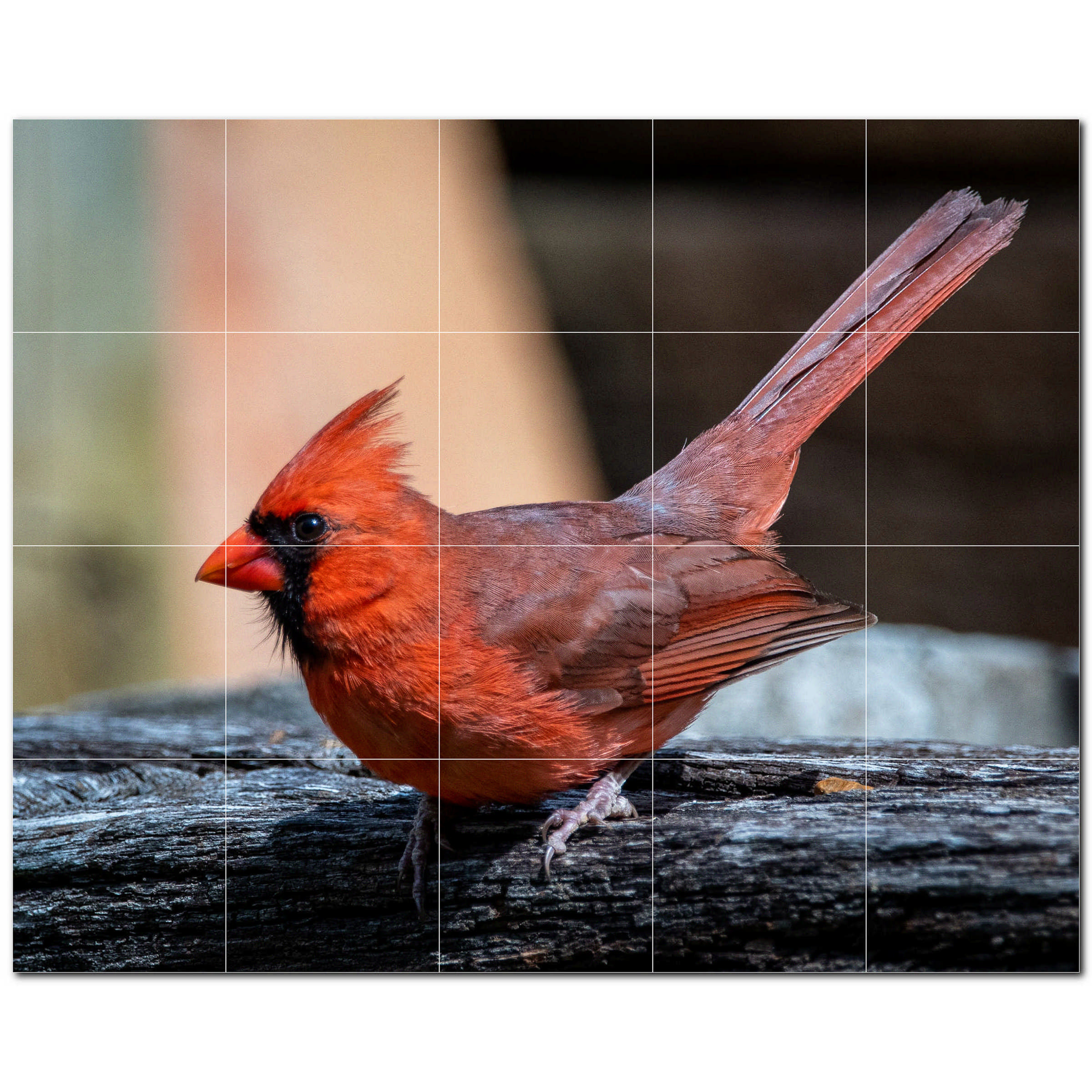 Picture-Tiles.com 12'' x 12'' Satin Ceramic Decorative Mural | Wayfair