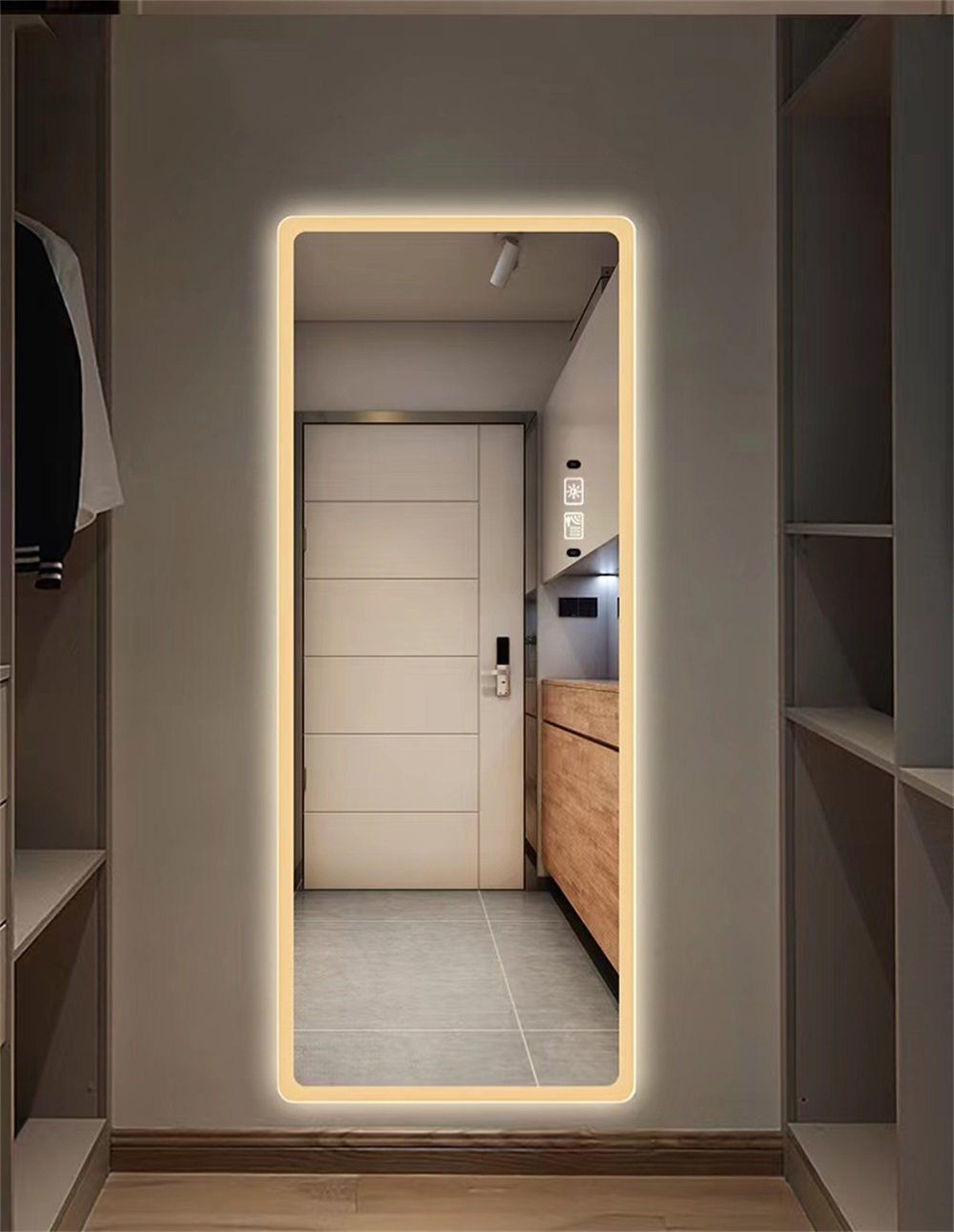 Wrought Studio™ Aolany Frameless Lighted Full Length Mirror | Wayfair