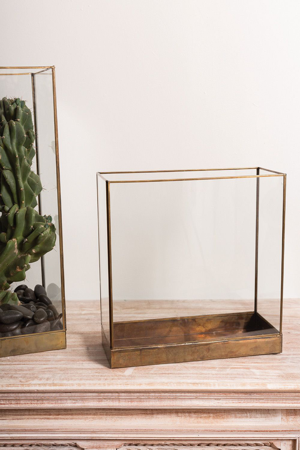 17 Stories Display Box | Wayfair