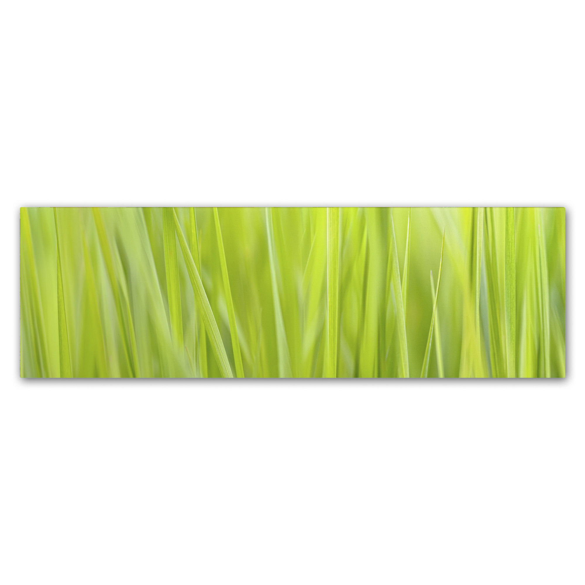 Ebern Designs 'Green Grass Scape' Photographic Print on Wrapped Canvas ...