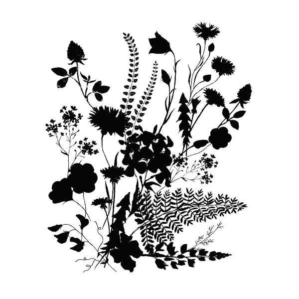 Wildon Home® Inked Flowers On Canvas by Dogwood Portfolio Print ...