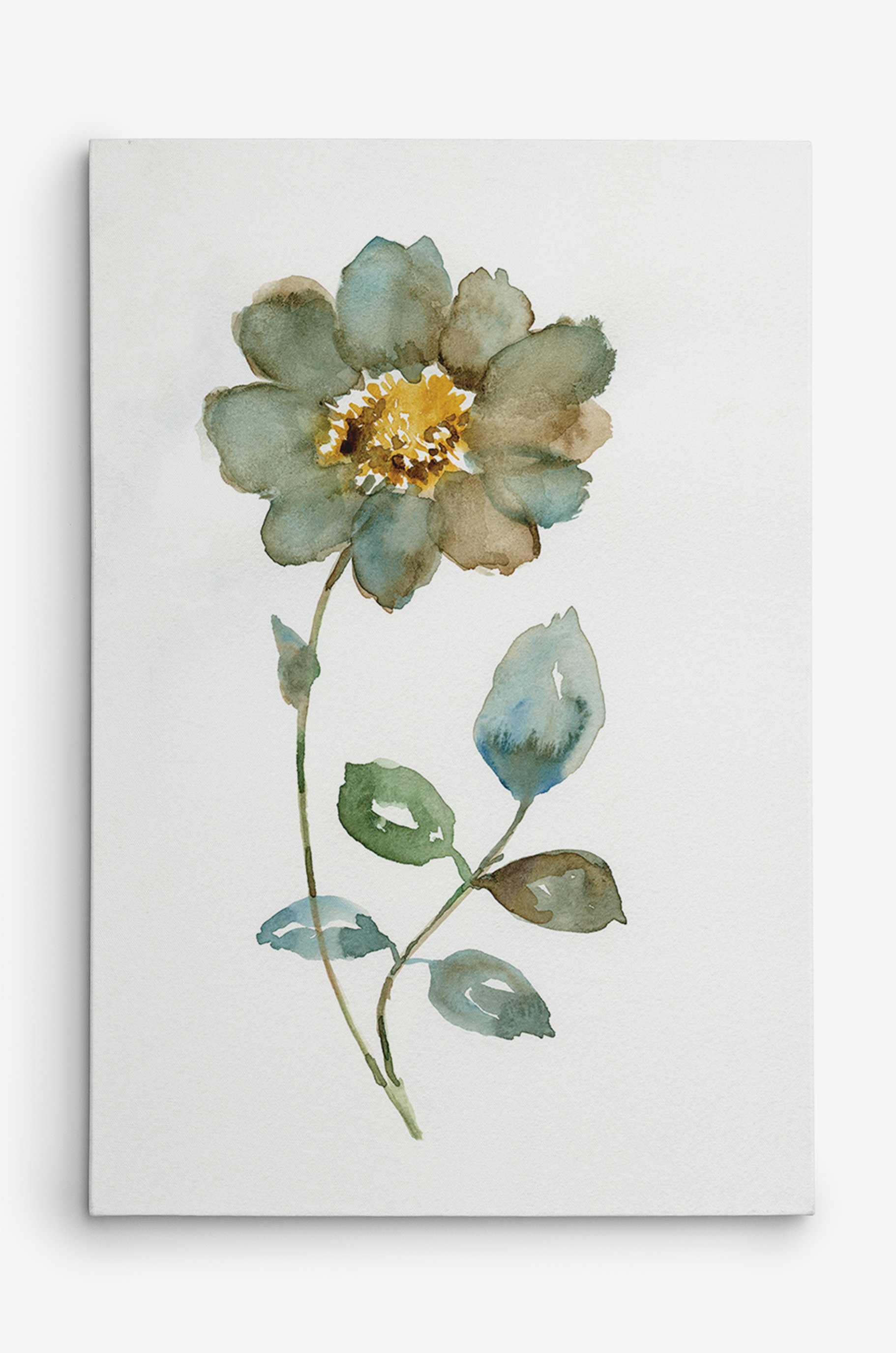 Ophelia & Co. 'Simple Petals I' Print on Wrapped Canvas & Reviews ...