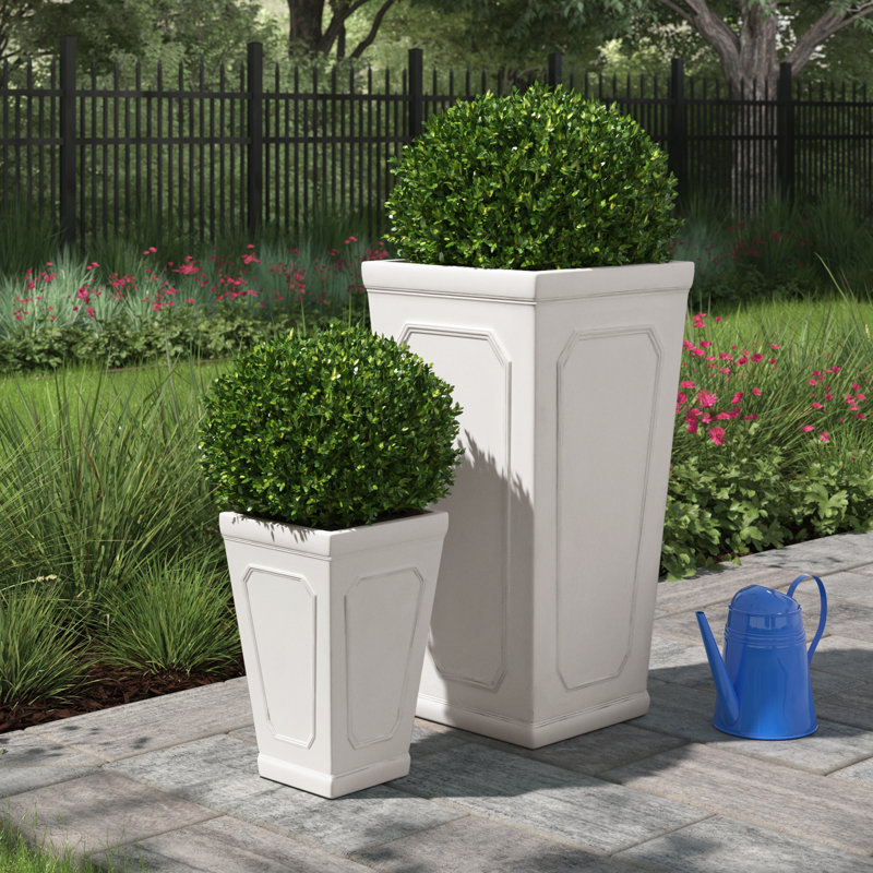 Sol 72 Outdoor™ Colangelo 2-Piece Concrete Pot Planter Set | Wayfair
