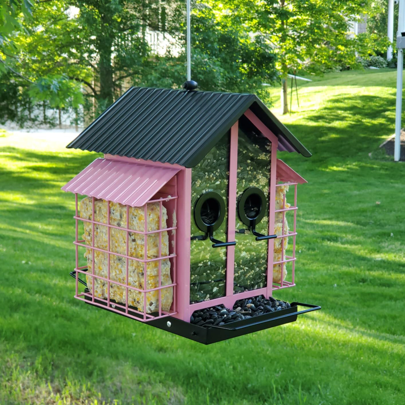 Arlmont & Co. Pink 2 in 1 Mixed Seeds Suet Feeder Metal Bird Feeder ...