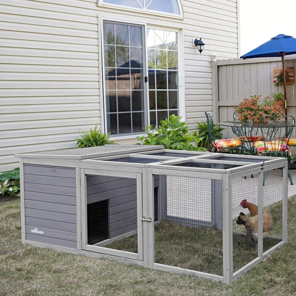 Tucker Murphy Pet™ Garvin Chicken Run & Reviews | Wayfair