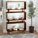 Everly Quinn Camylle Bookcase & Reviews | Wayfair