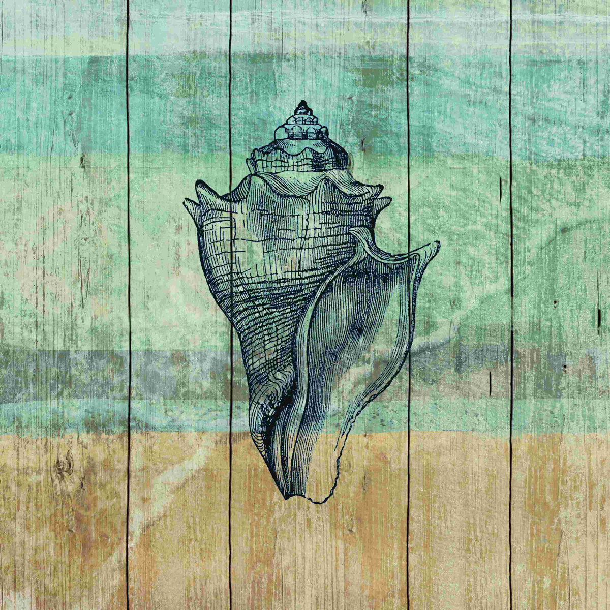 Highland Dunes Shell Beach Wood Texture | Wayfair